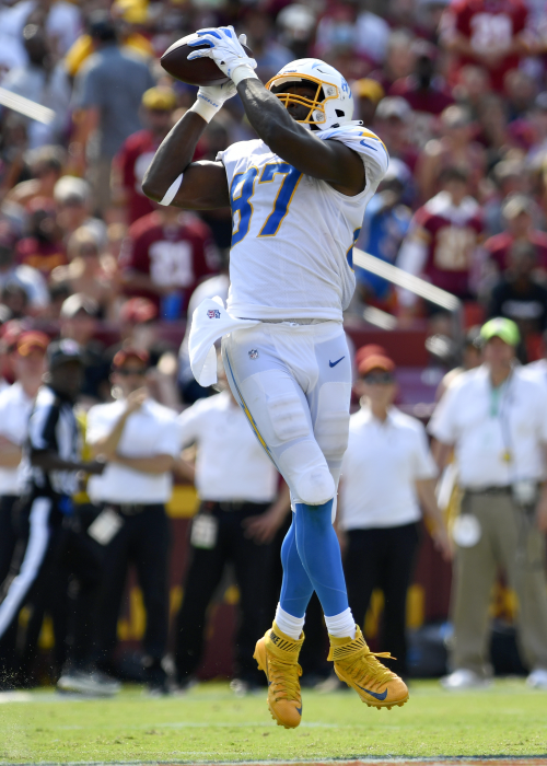 Jared Cook Stats, Profile, Bio, Analysis and More | No team | Sports ...